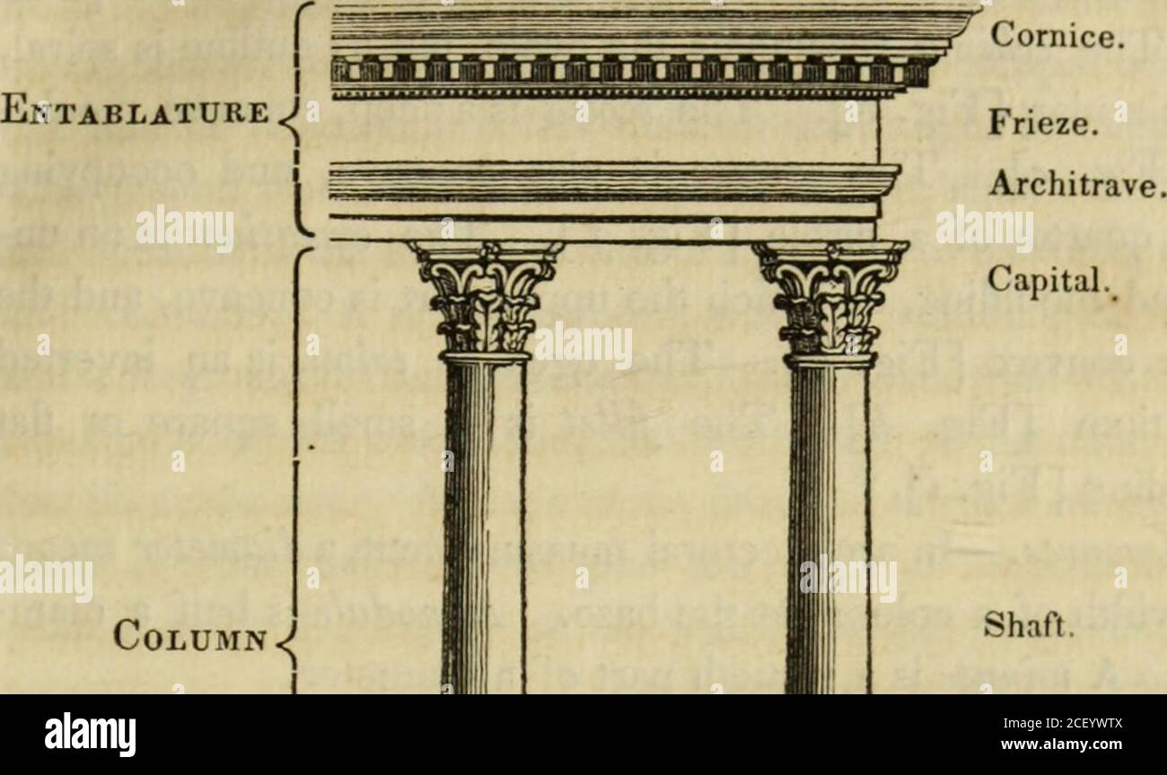 . Elements of technology :. middle part, situated upon the pedestal ...