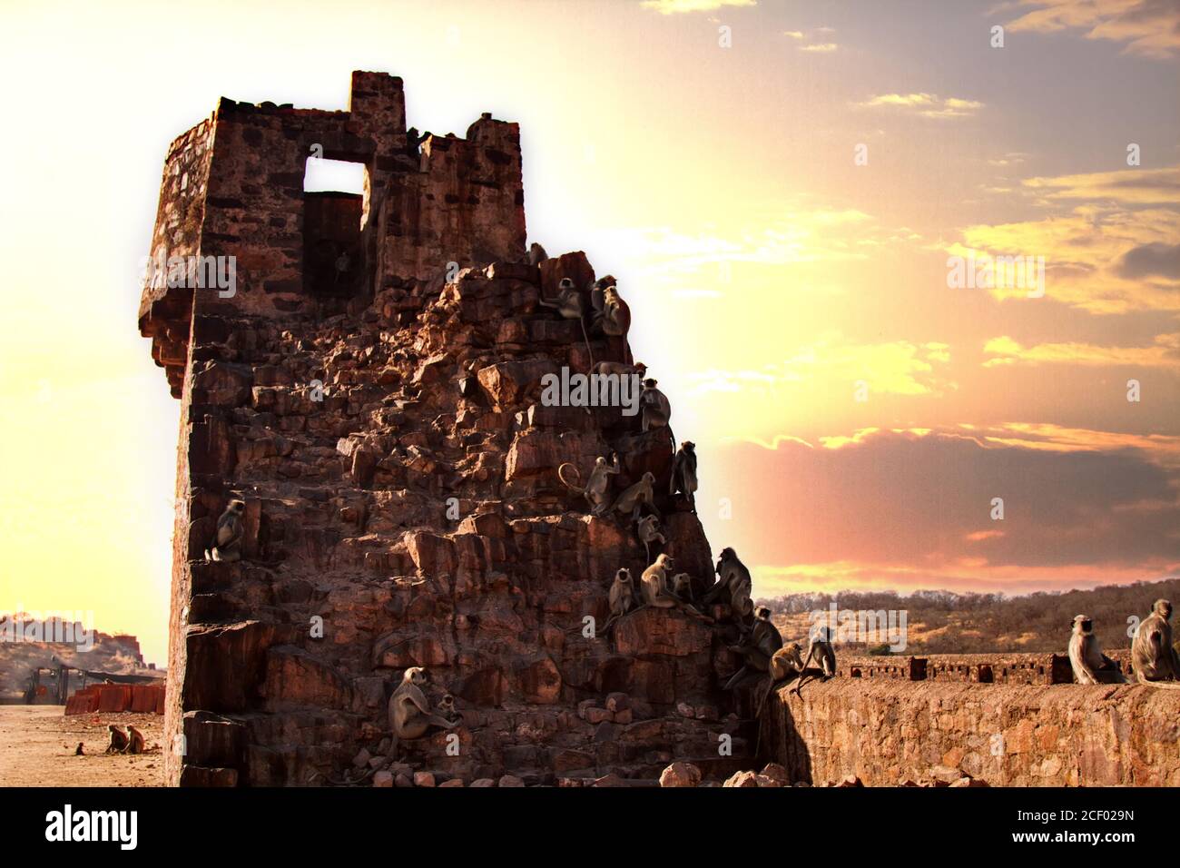 Bander logs hi-res stock photography and images - Alamy