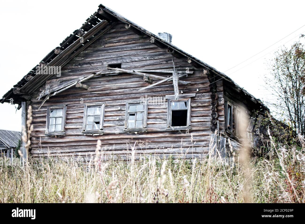 Russian old village on the edge of the forest is destroyed. North-West ...