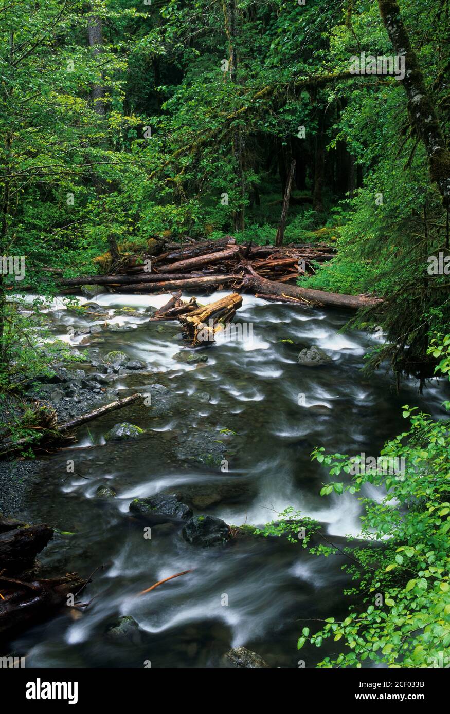 Howe Park High Resolution Stock Photography and Images - Alamy