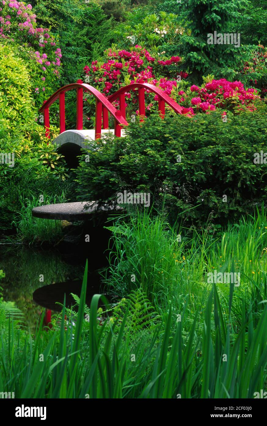 Moon Bridge, Kubota Garden, Seattle, Washington Stock Photo - Alamy
