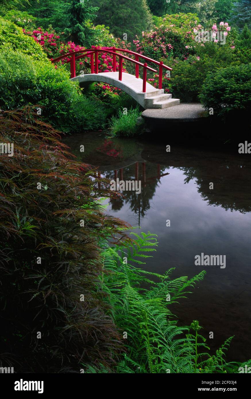 Moon Bridge, Kubota Garden, Seattle, Washington Stock Photo - Alamy