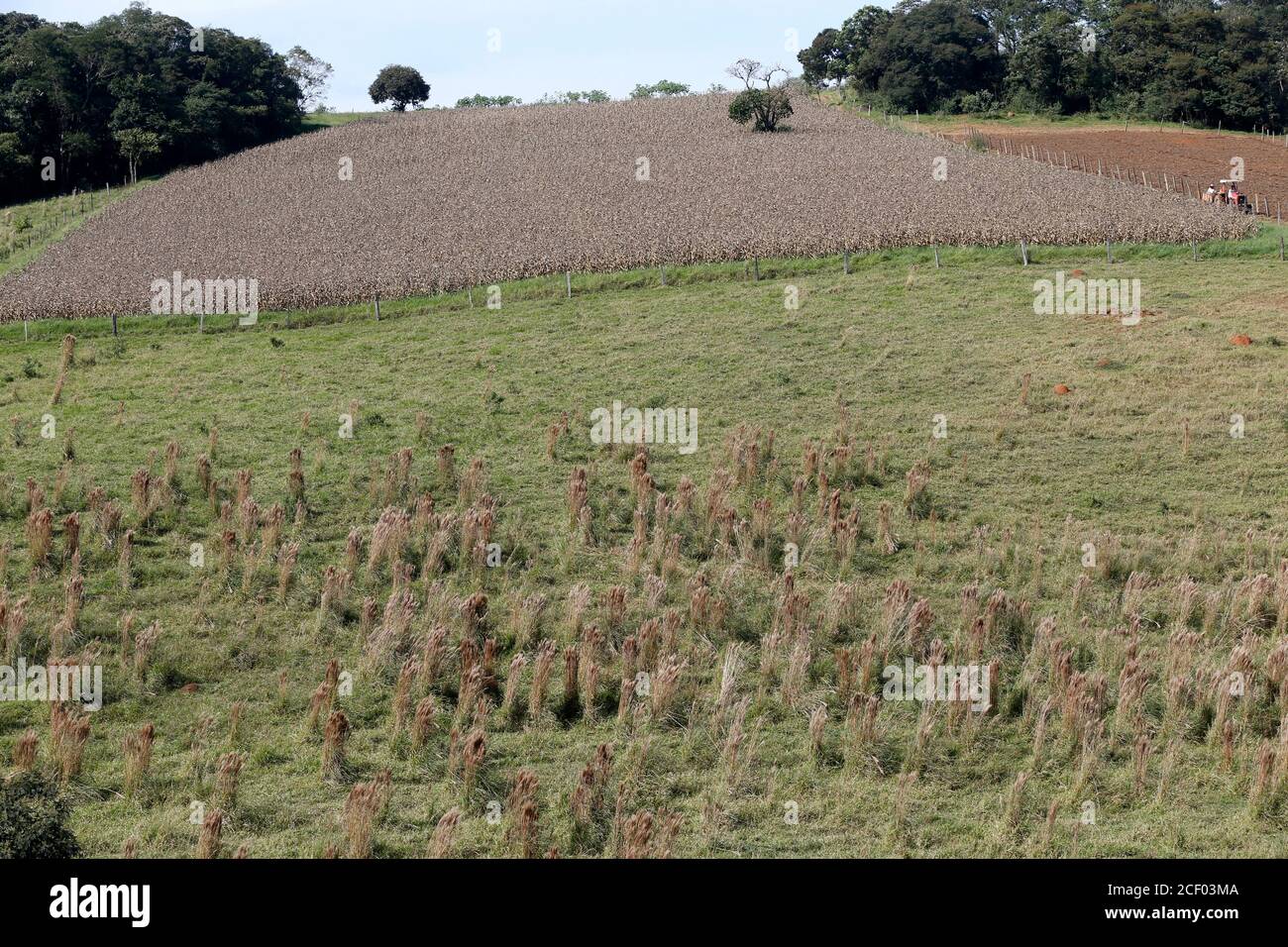Agronomy rural hi-res stock photography and images - Alamy
