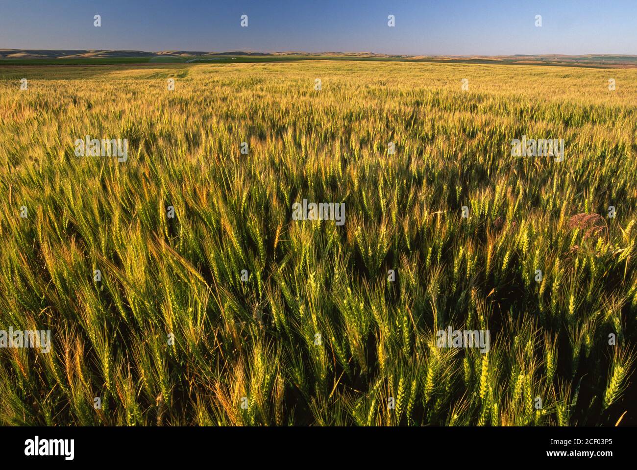 Franklin farm hi-res stock photography and images - Alamy