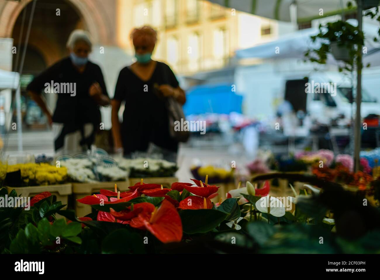 Cremona, Italy - September 2020 Flower and plant vendor at the weekly ...