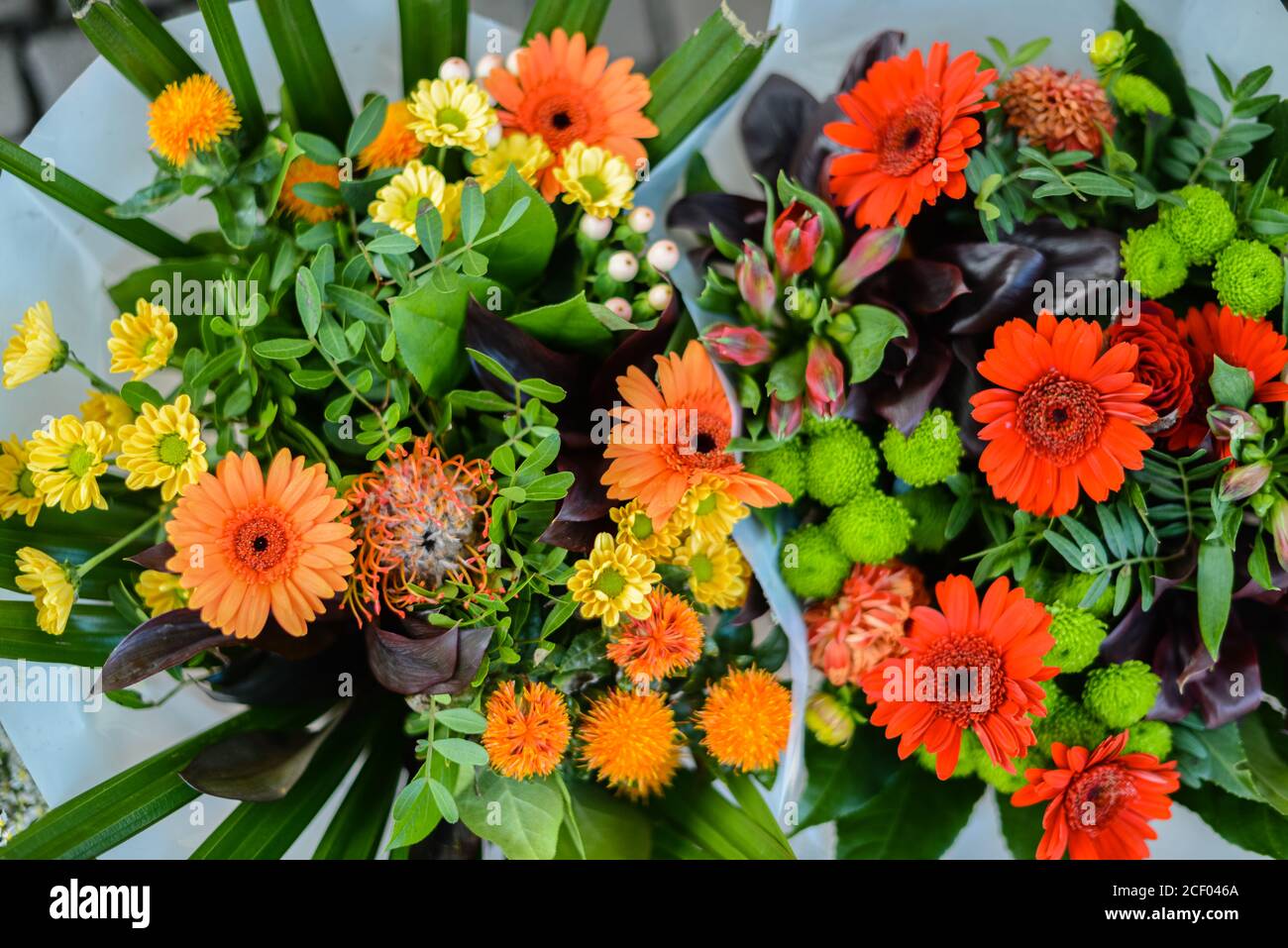 Cremona, Italy - September 2020 Flower and plant vendor at the weekly ...