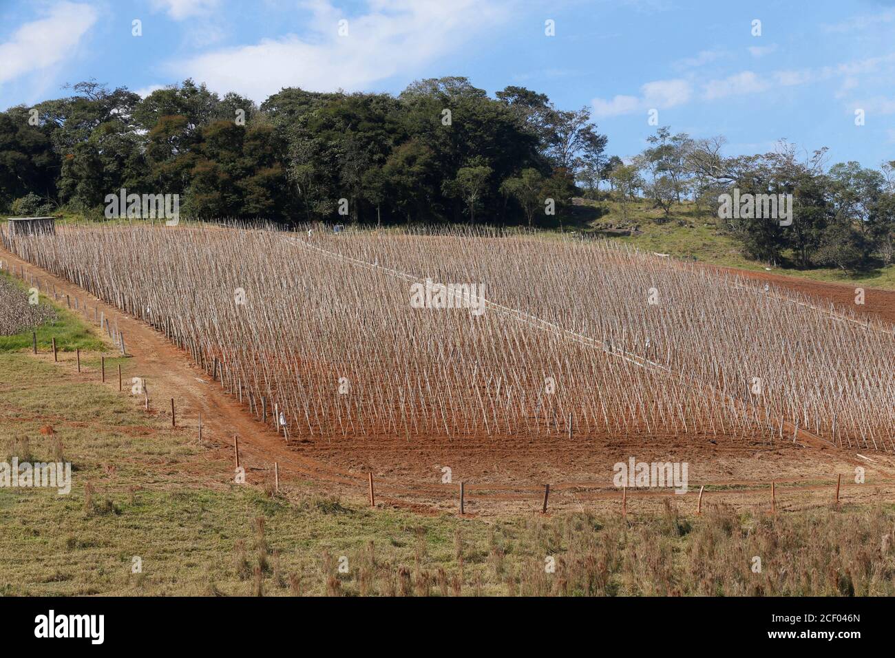 Brazil countryside hi-res stock photography and images - Alamy
