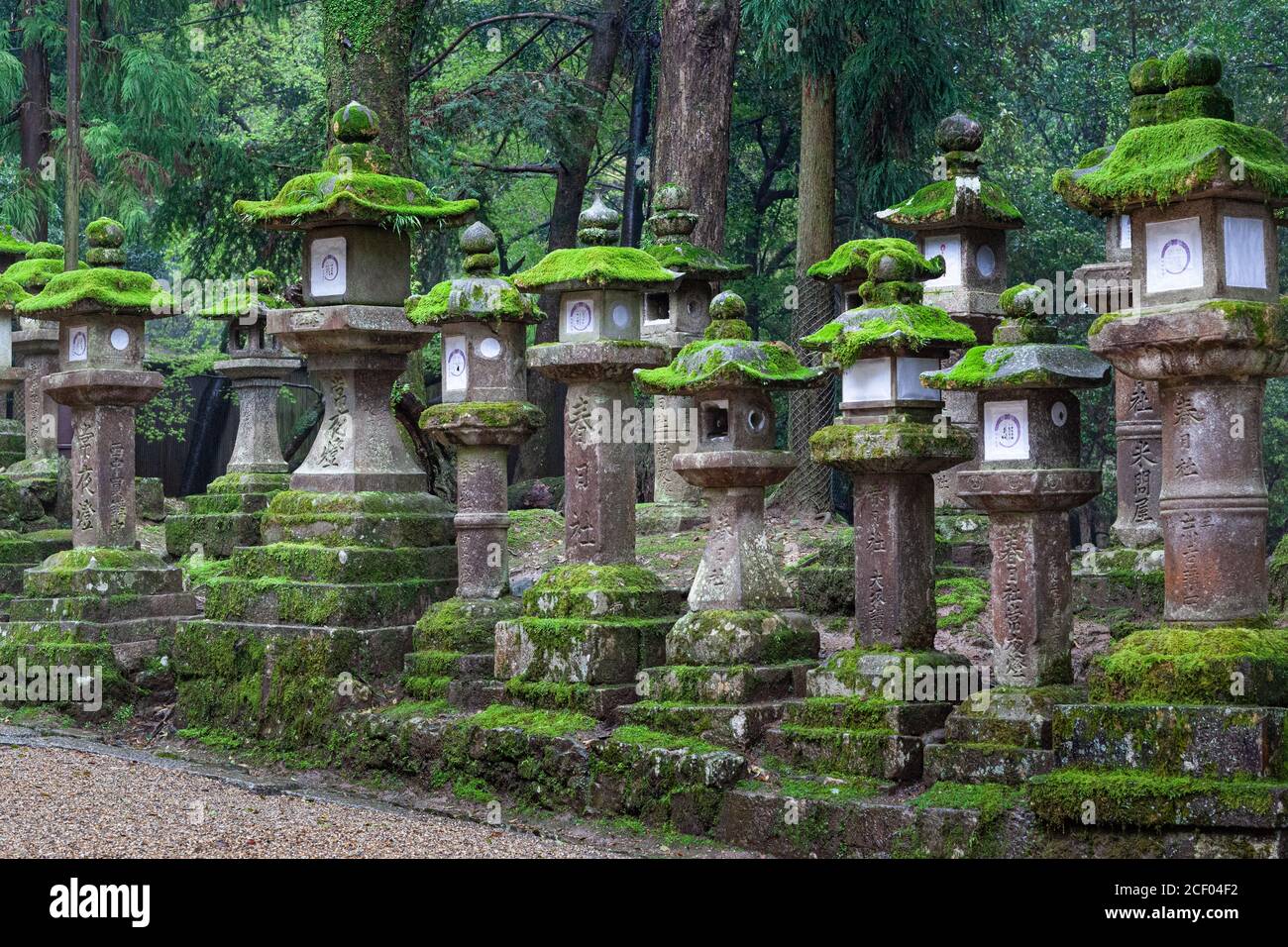 Stone lanterns covered moss nara hi-res stock photography and images ...