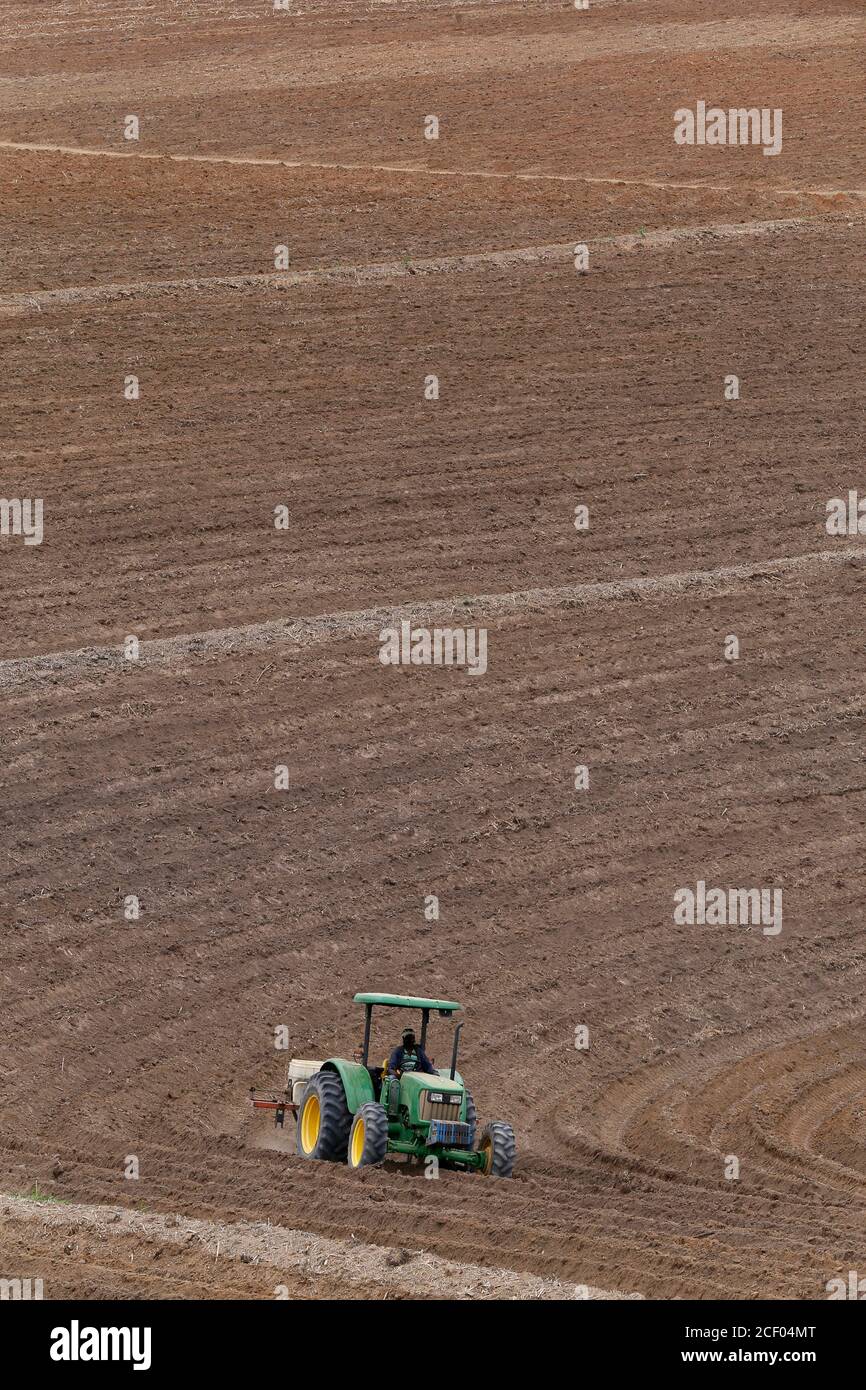 Brazilian countryside hi-res stock photography and images - Alamy