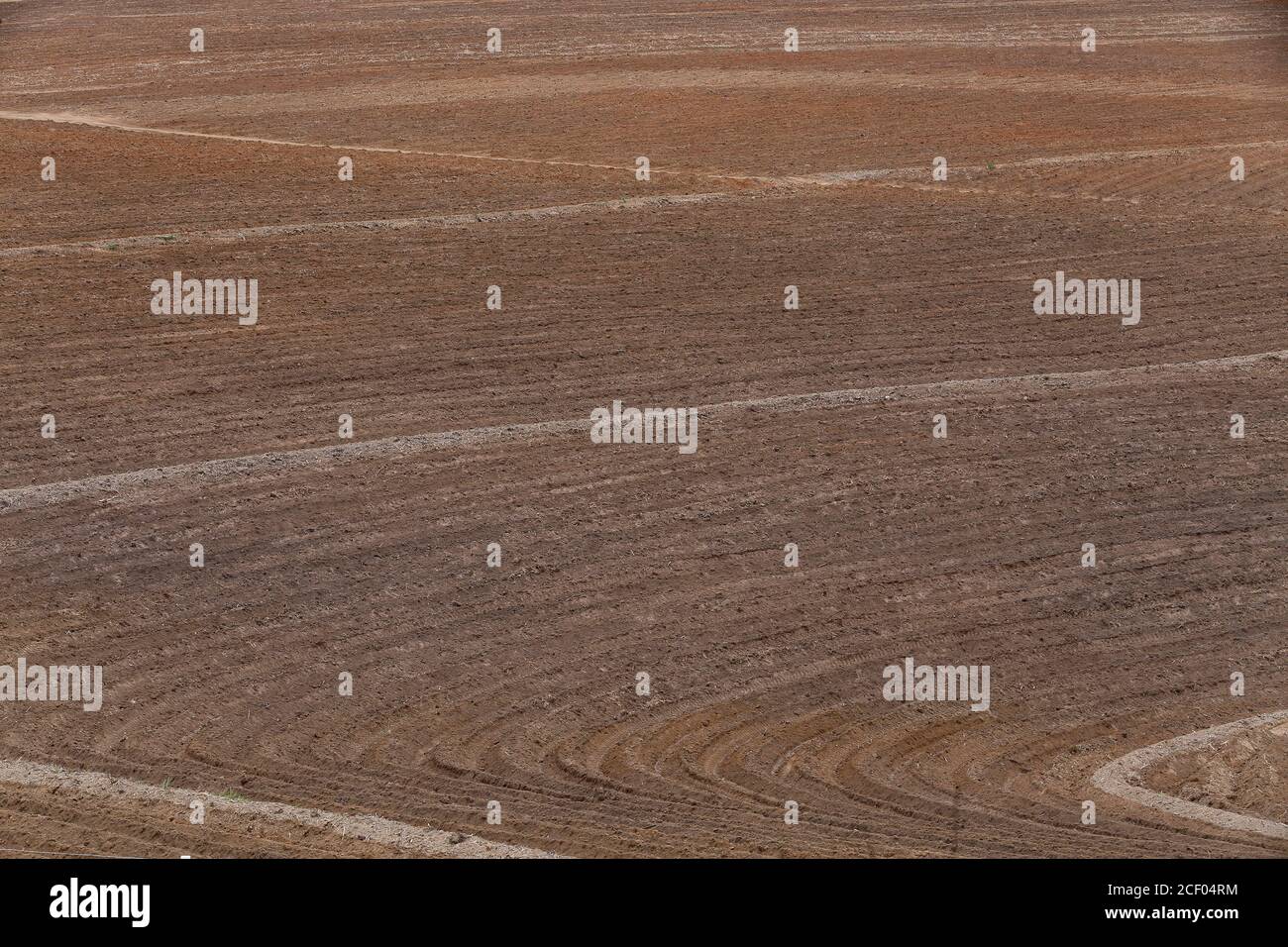 Brazil countryside hi-res stock photography and images - Alamy