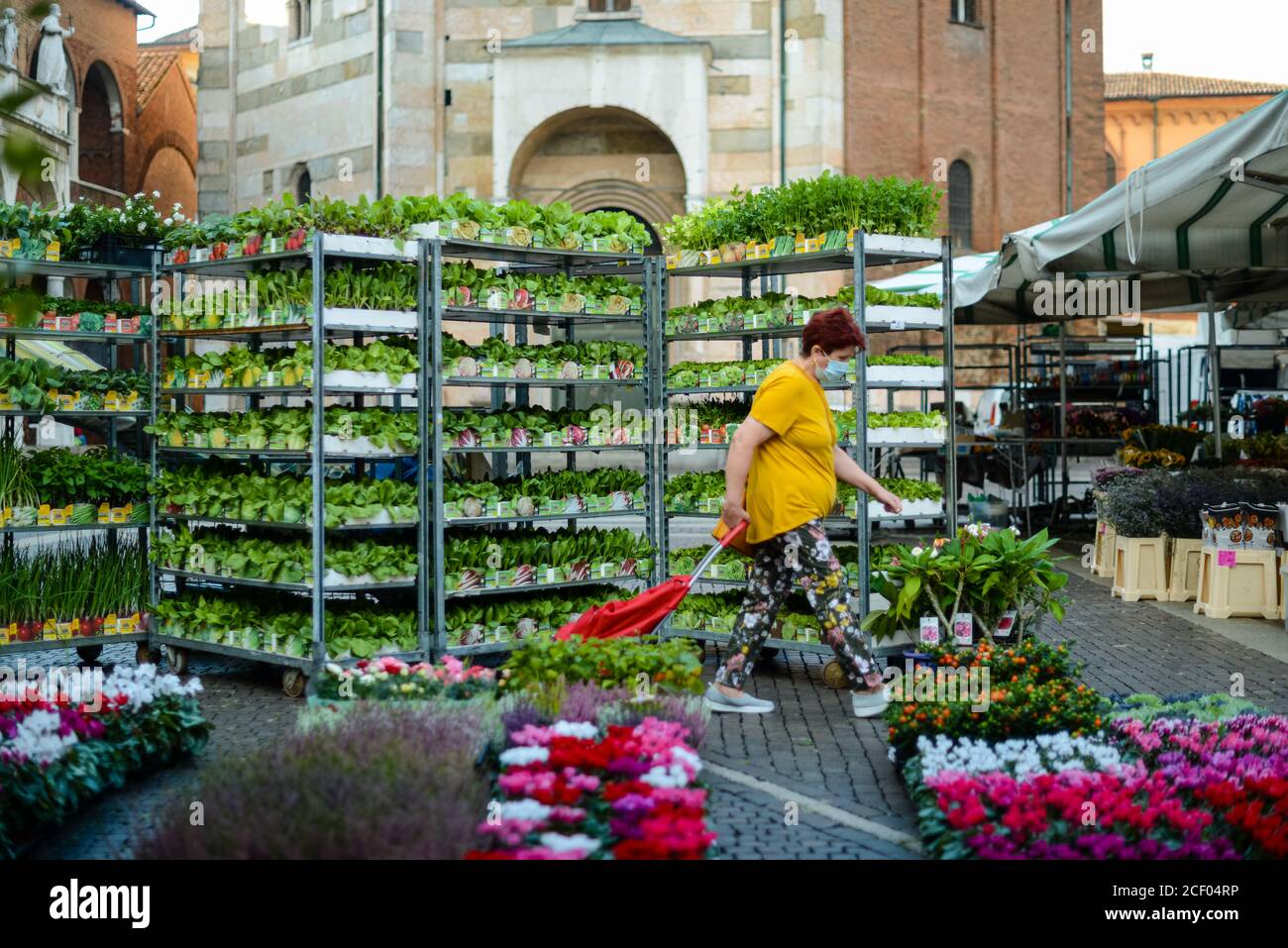Cremona, Italy - September 2020 Flower and plant vendor at the weekly ...