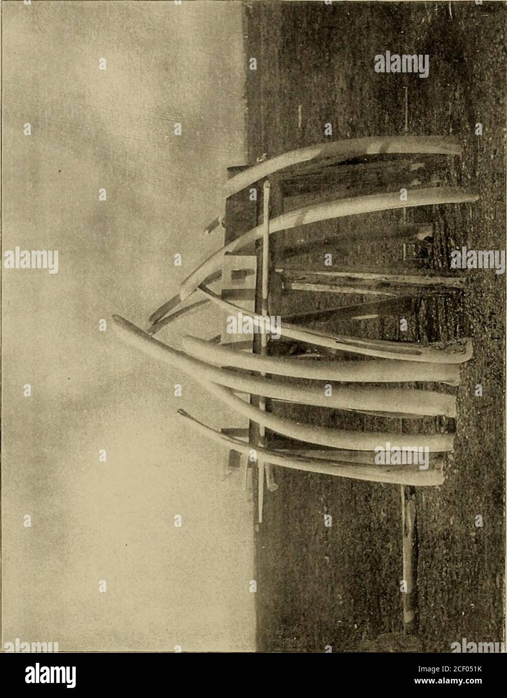 Overland Expedition High Resolution Stock Photography and Images - Alamy