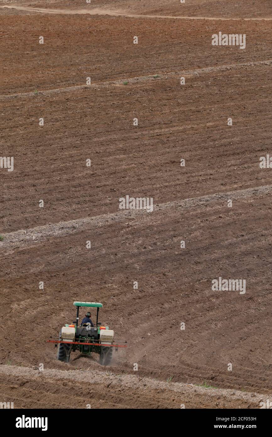 Brazilian countryside hi-res stock photography and images - Alamy