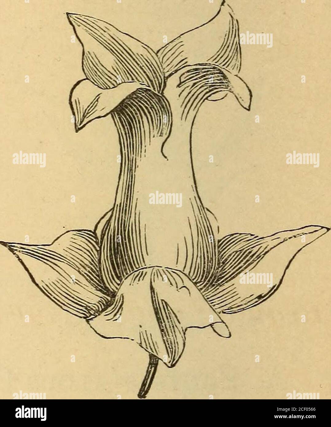 Disturbing others hi-res stock photography and images - Alamy