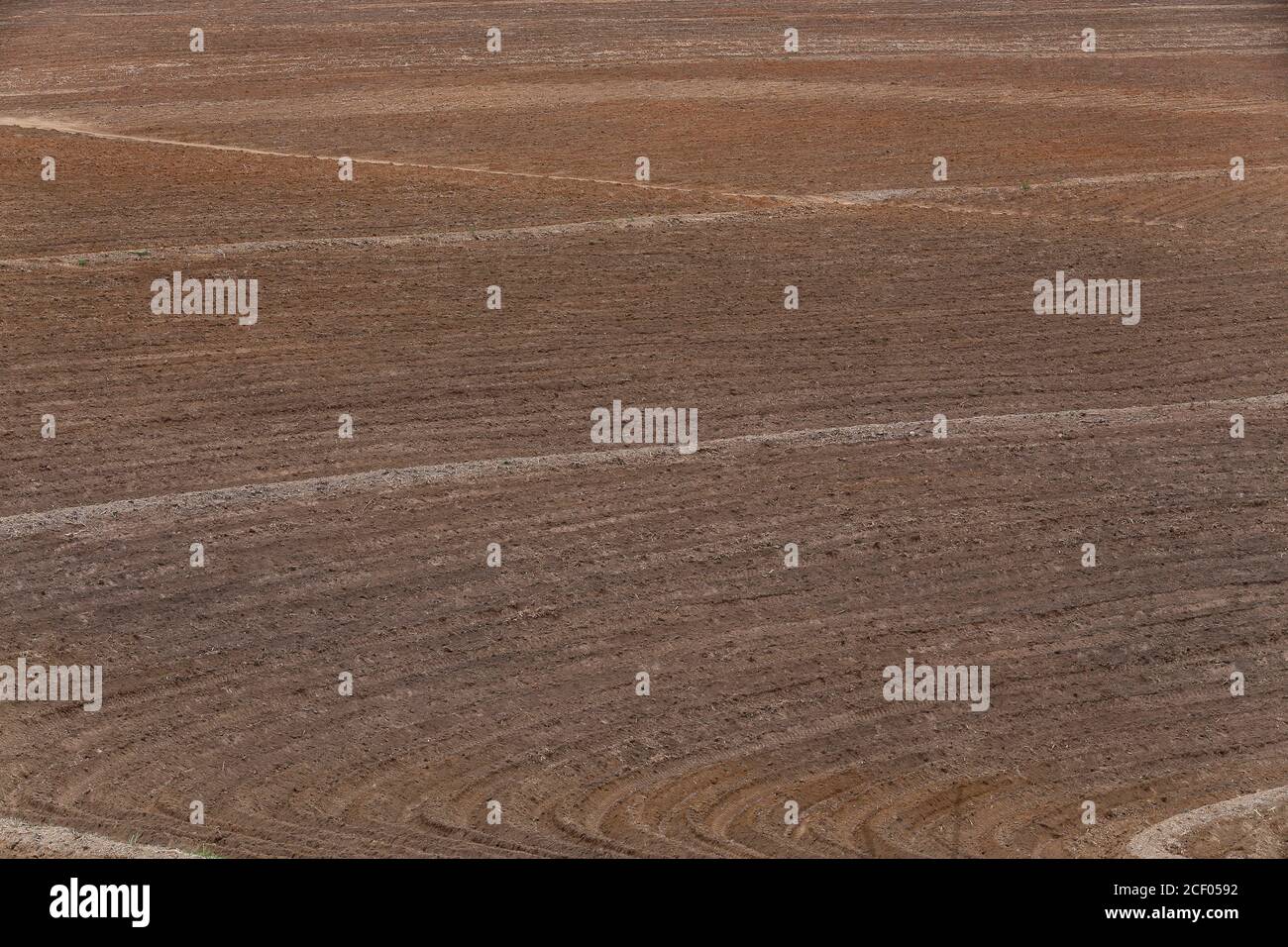 agricultural arable fields in brazilian countryside Stock Photo - Alamy