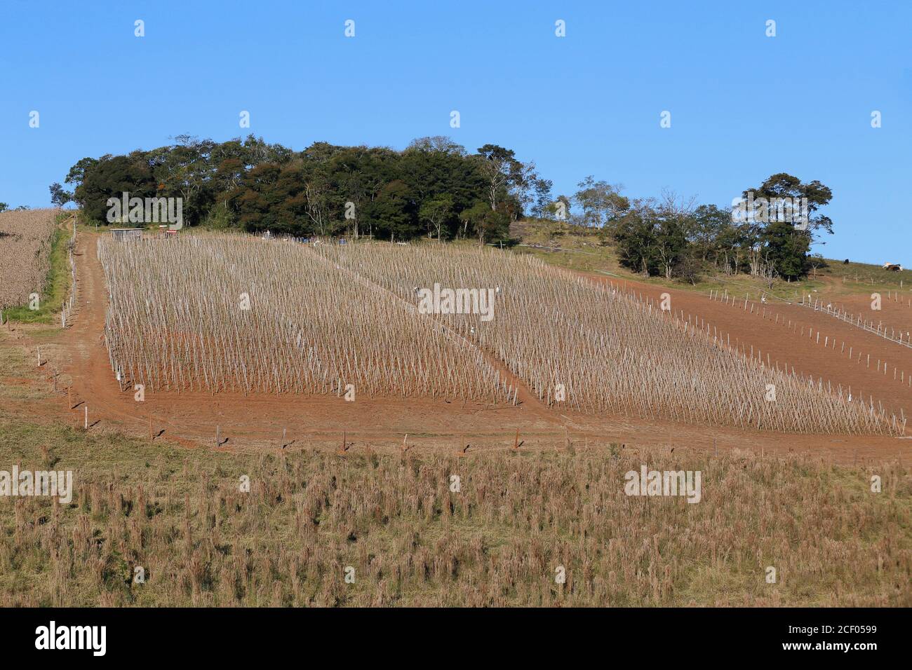 Rural plantation hi-res stock photography and images - Alamy
