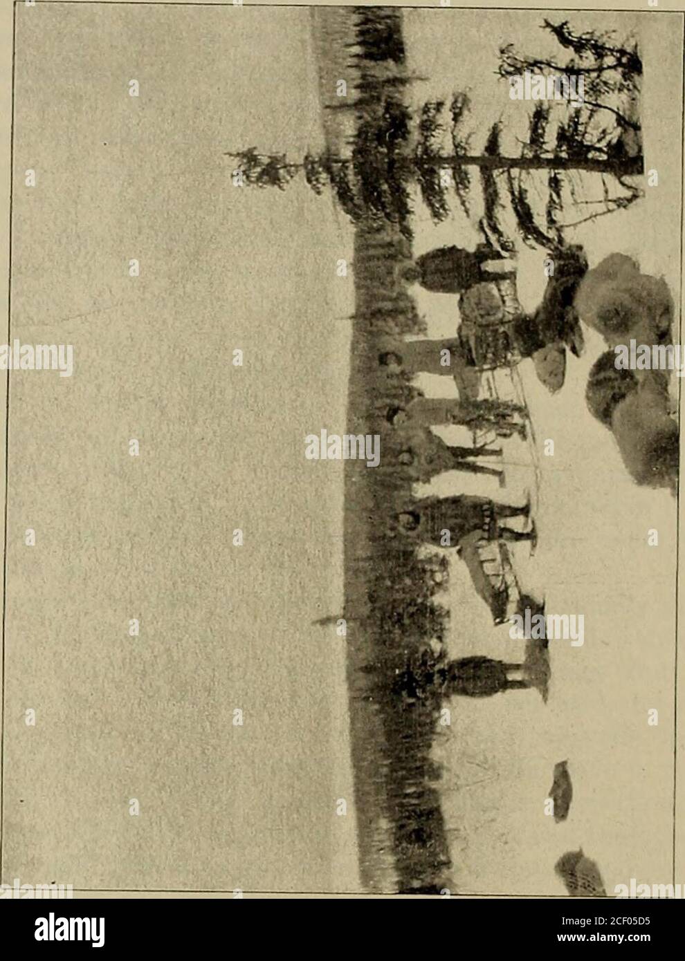 U.s. revenue cutter bear hi-res stock photography and images - Alamy