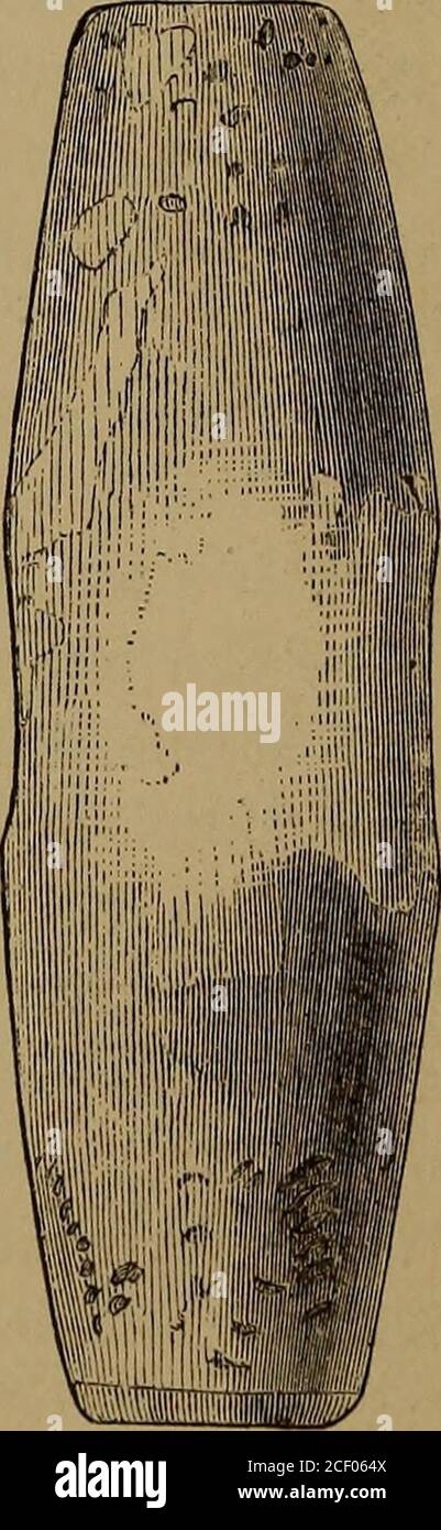 . The ancient stone implements, weapons, and ornaments, of Great ...