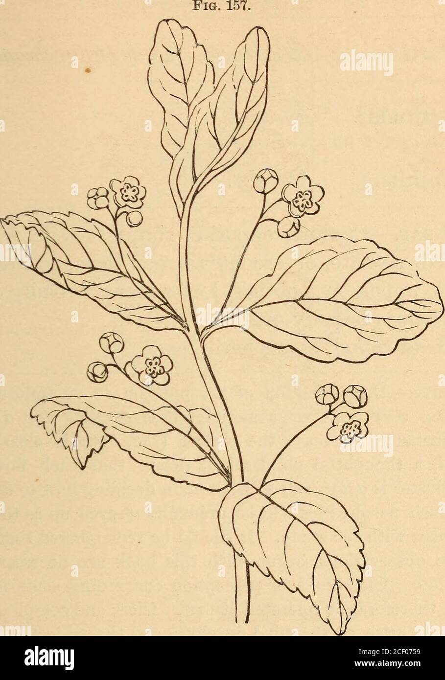 Children clustered hi-res stock photography and images - Alamy