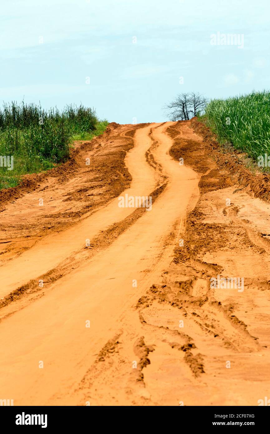 Brazil alcohol hi-res stock photography and images - Alamy