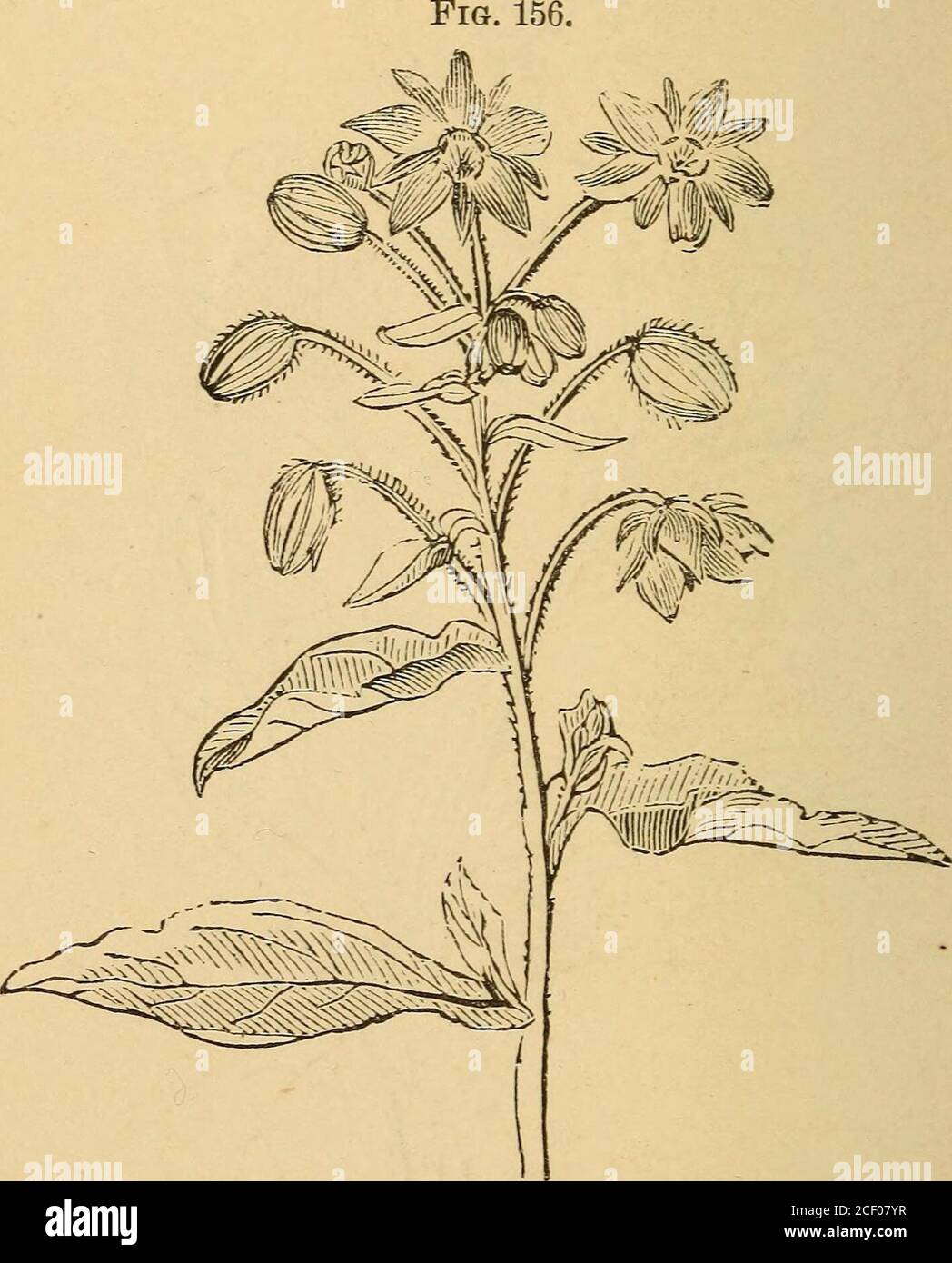 Endst hi-res stock photography and images - Alamy