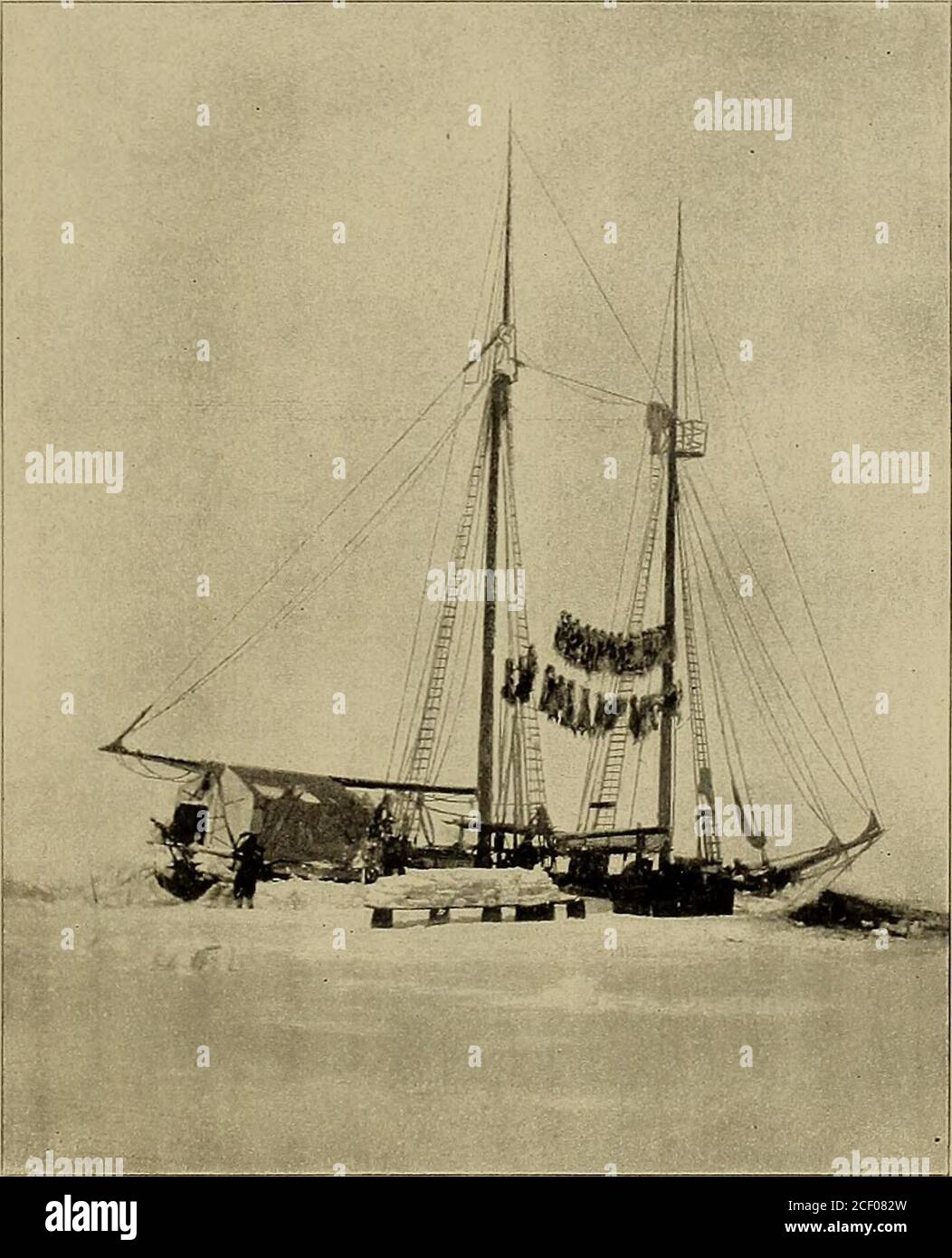 U s revenue cutter bear hi-res stock photography and images - Alamy