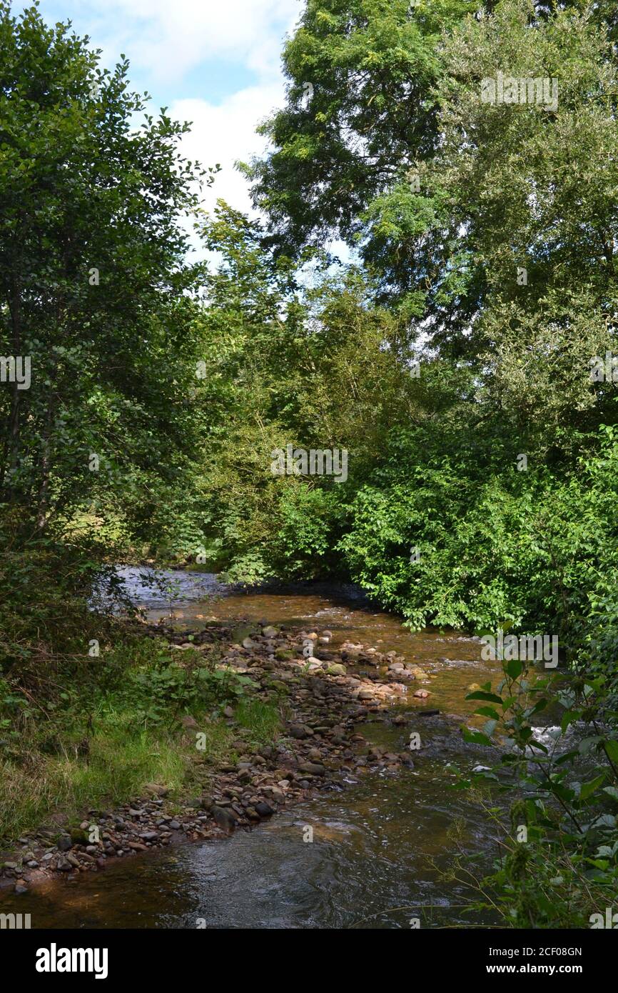Gentle river in the Lake District Stock Photo - Alamy