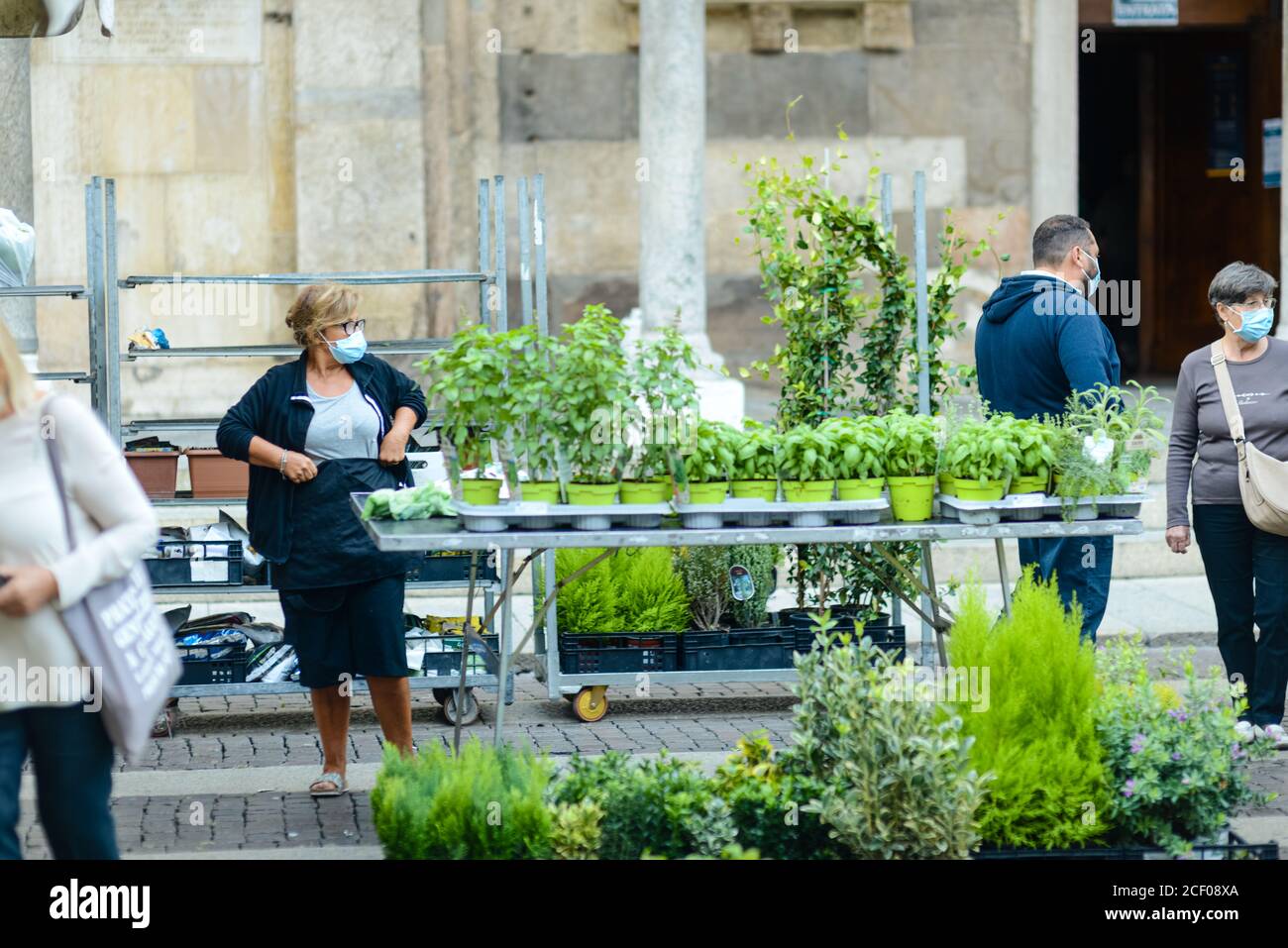 Cremona, Italy - September 2020 Flower and plant vendor at the weekly ...