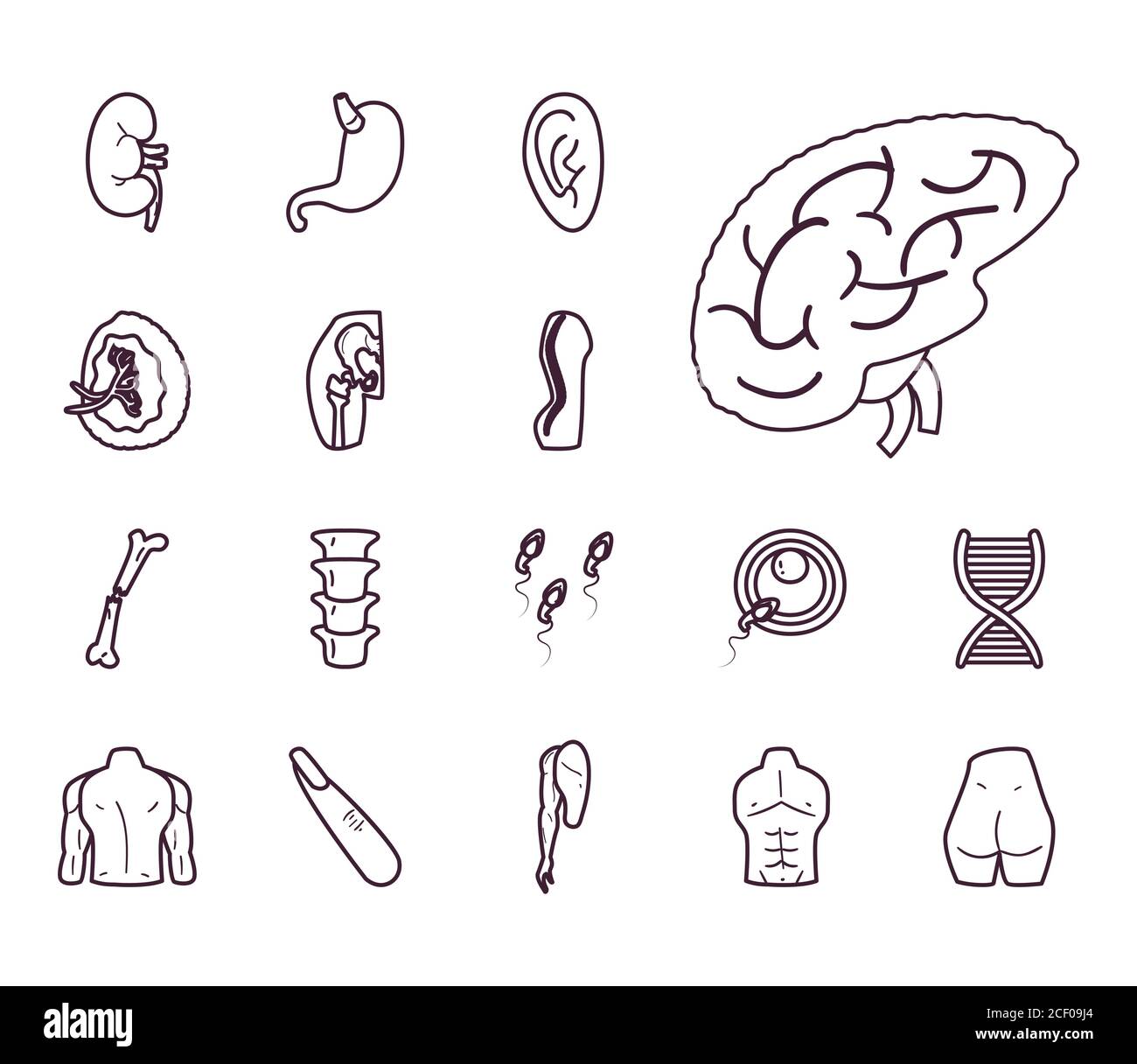 line style set of icons design, Human body person people health anatomy ...
