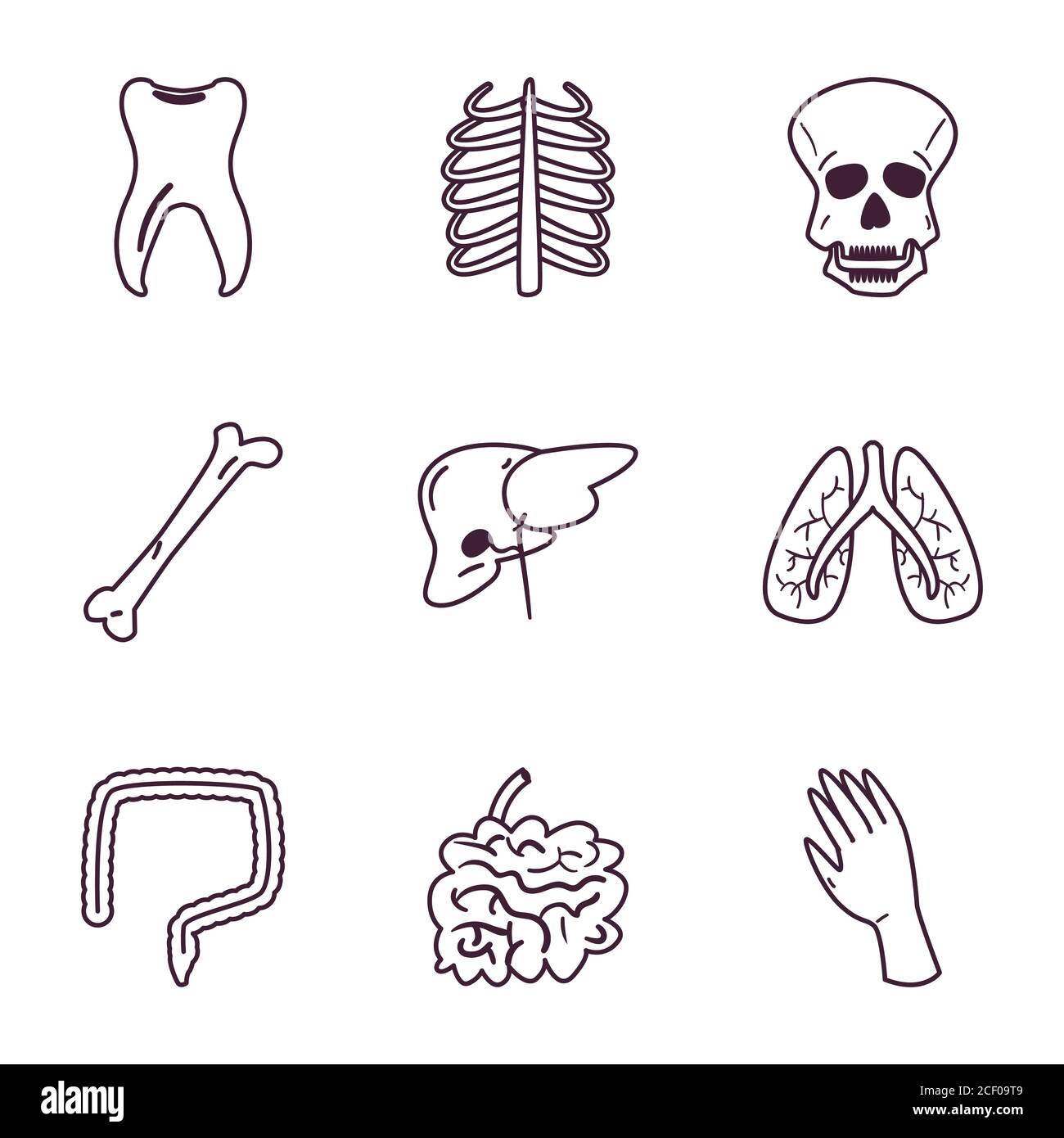 line style icon set design, Human body person people health anatomy ...