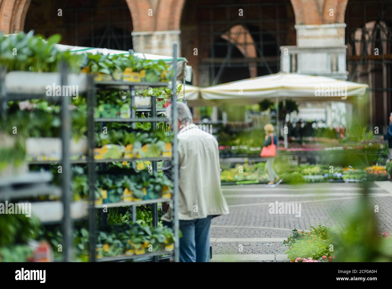 Cremona, Italy - September 2020 Flower and plant vendor at the weekly ...