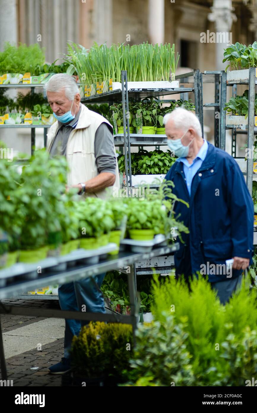 Cremona, Italy - September 2020 Flower and plant vendor at the weekly ...