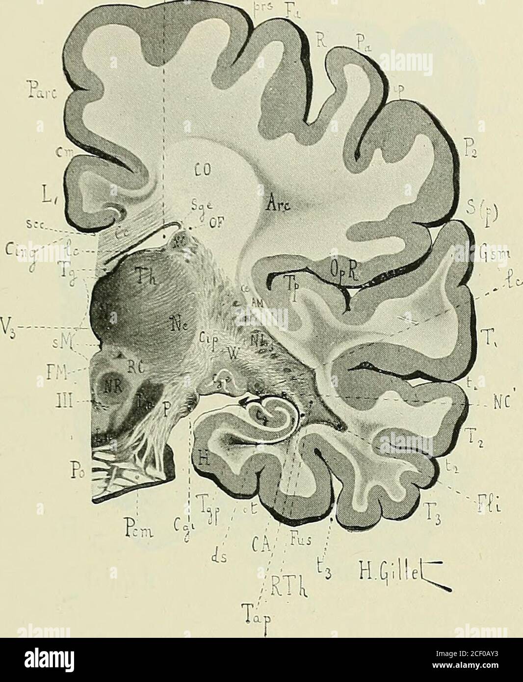 Sur pul hi-res stock photography and images - Alamy