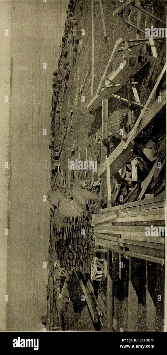 U.s. revenue cutter bear hi-res stock photography and images - Alamy