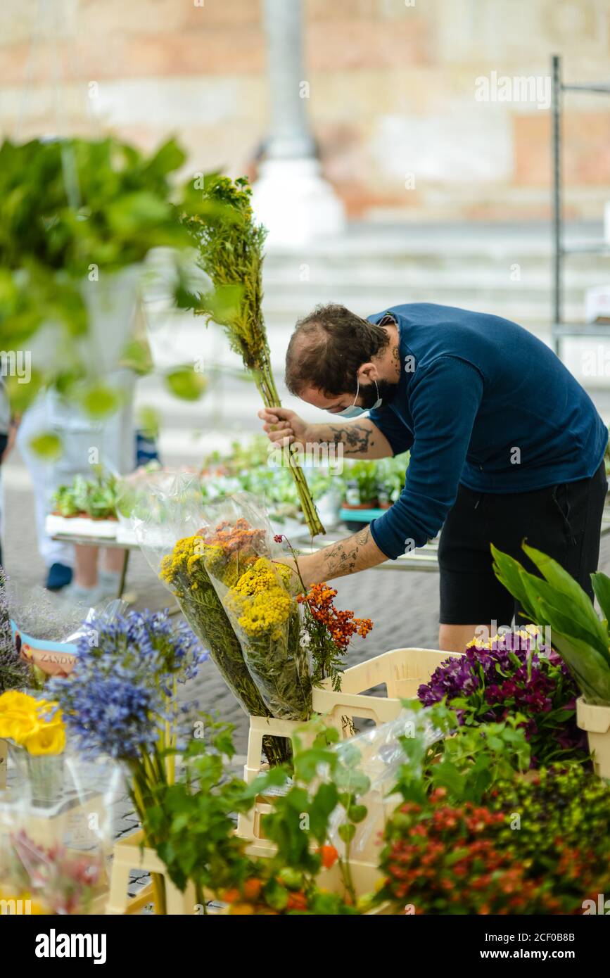 Cremona, Italy - September 2020 Flower and plant vendor at the weekly ...