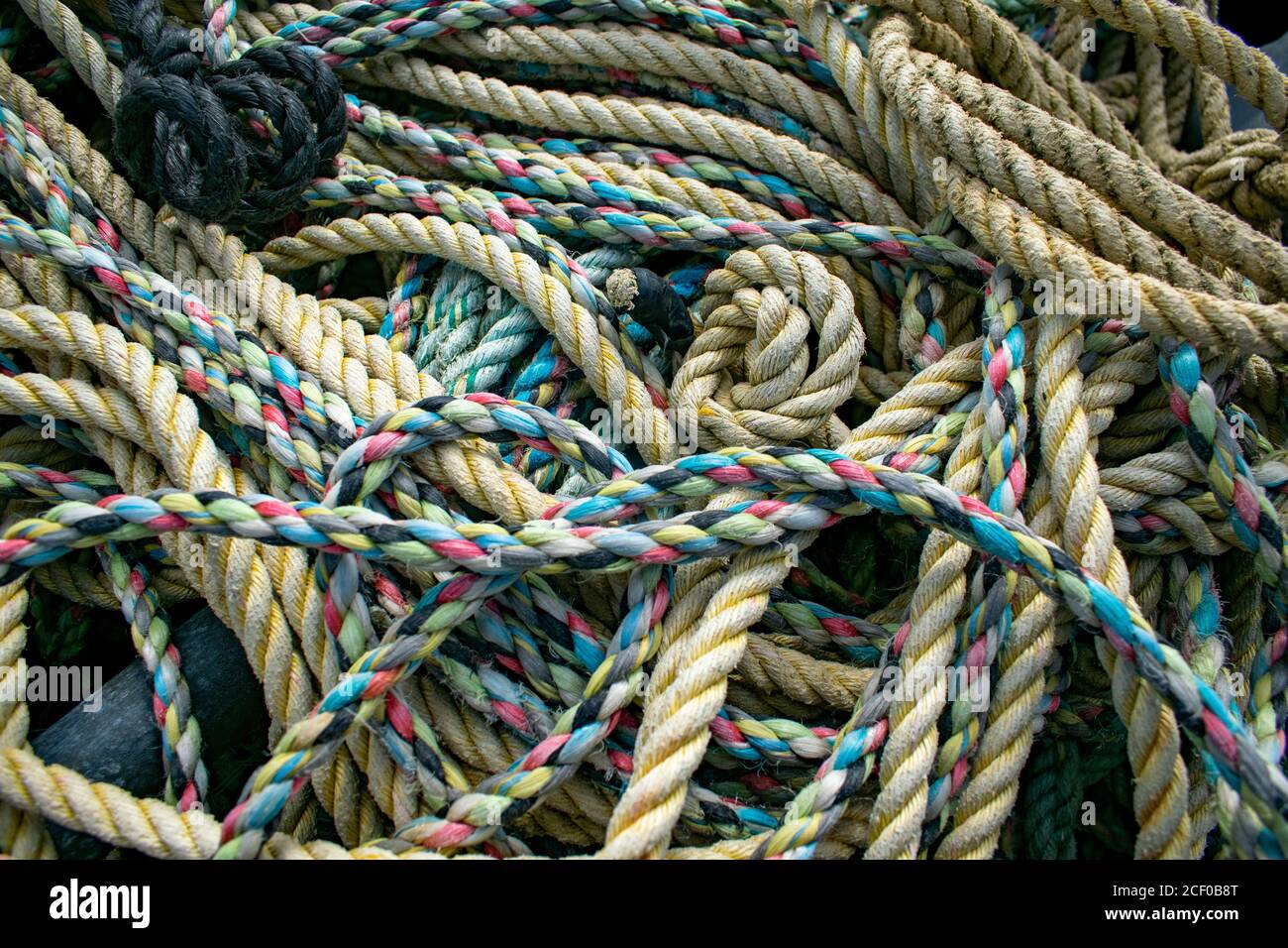 Tangled colorfull fishing ropes, rope variety used for sailing, marine ...