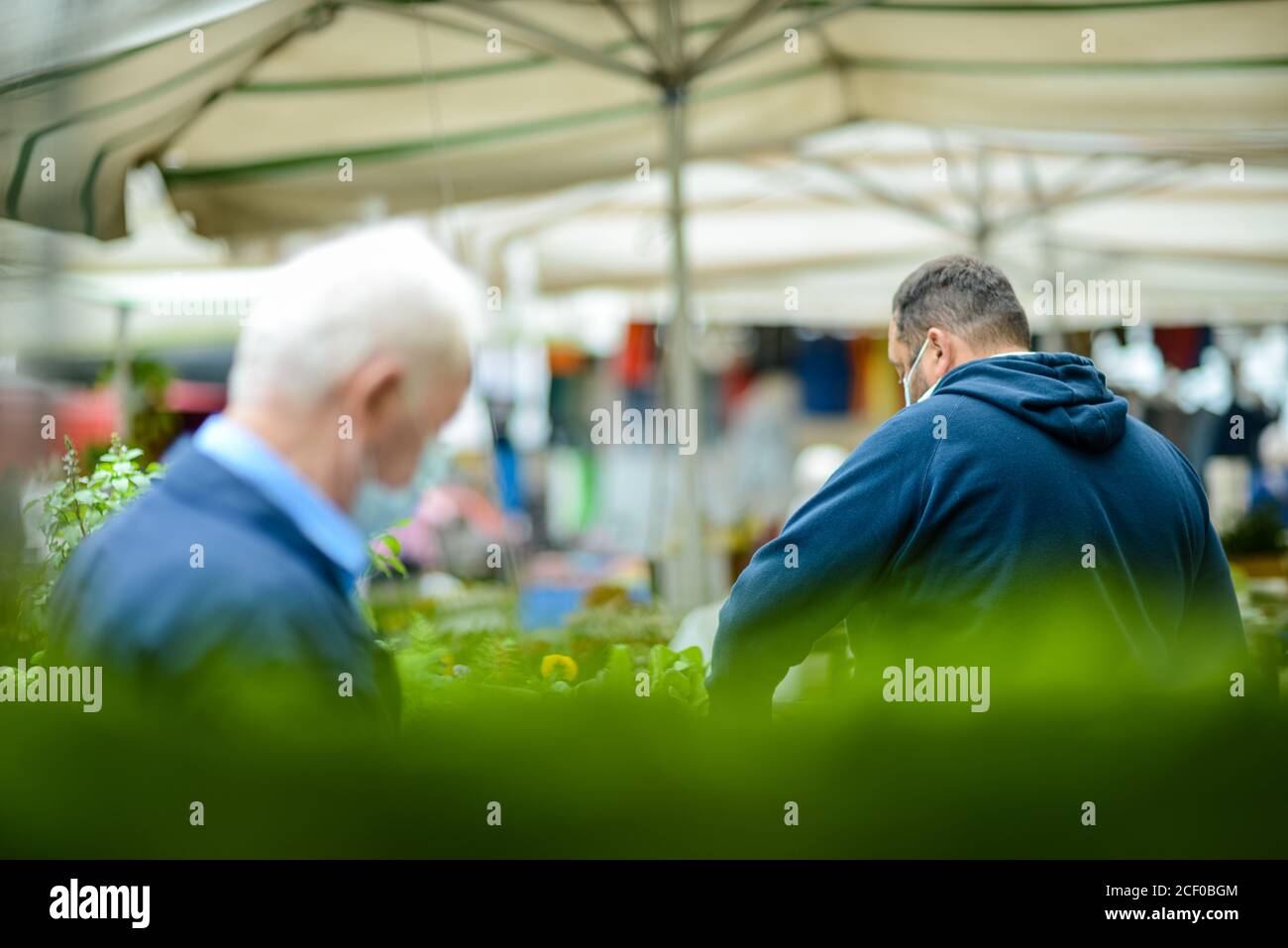 Cremona, Italy - September 2020 Flower and plant vendor at the weekly ...