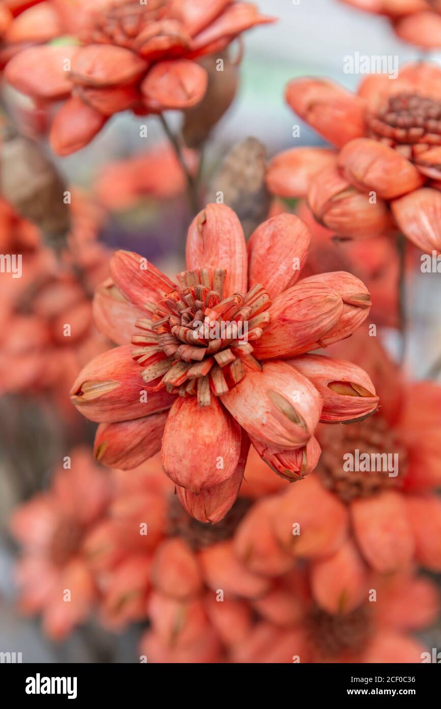 Handmade fake flowers for interior decoration Stock Photo - Alamy