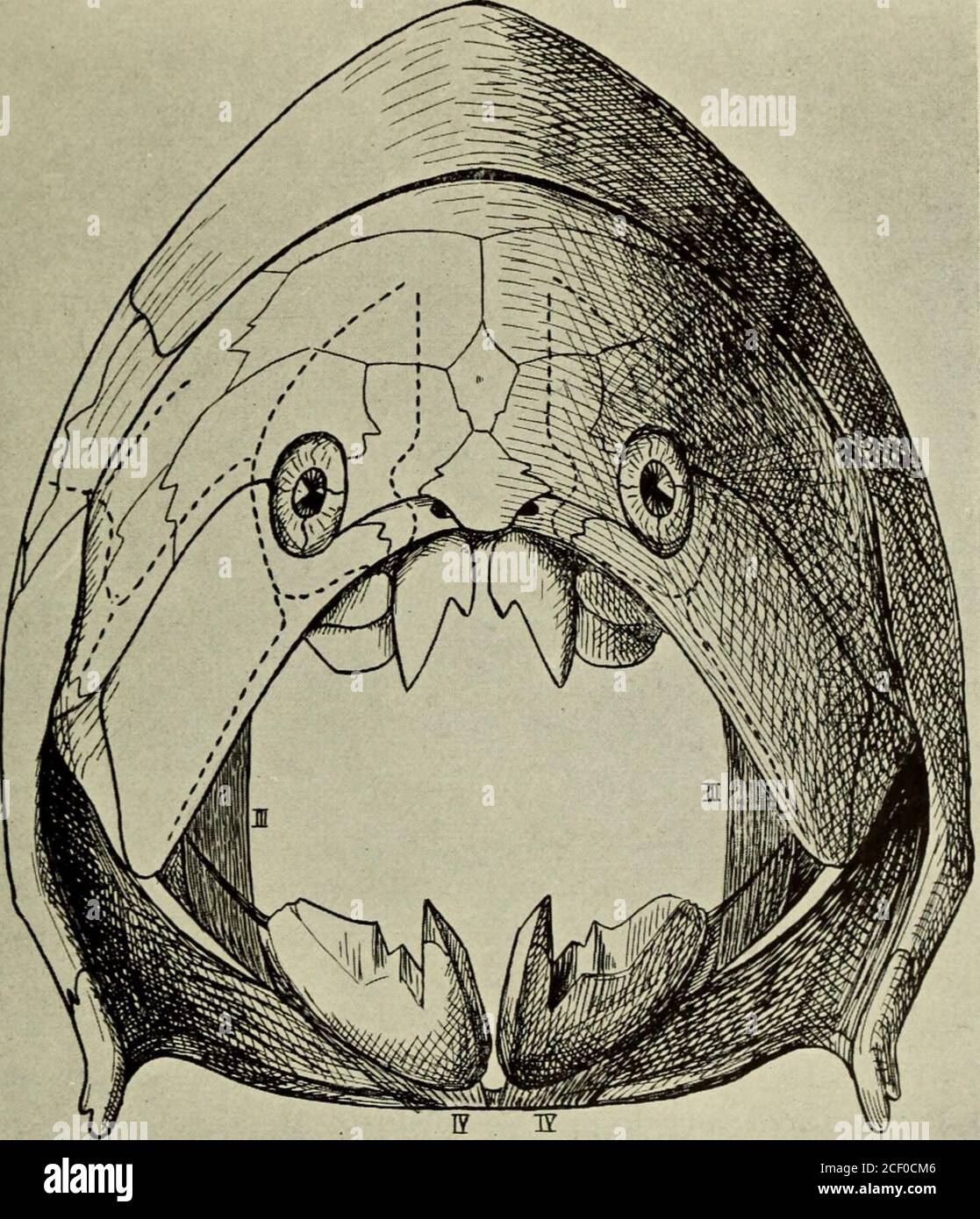 . Guide leaflet. Fig. 16. Restoration of Z)imc/i%s. Front and Side ...