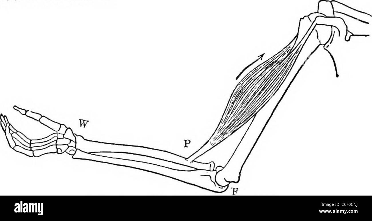 Contraction joint Black and White Stock Photos & Images - Alamy