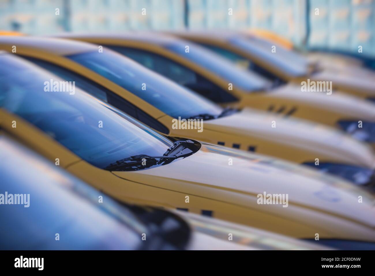View of yellow taxi cab parking lot with yellow cars standing, set of ...