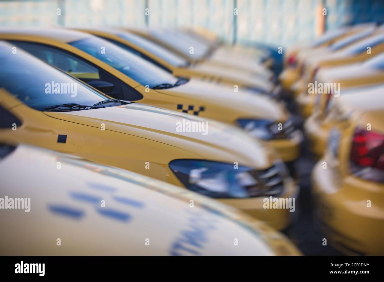 View of yellow taxi cab parking lot with yellow cars standing, set of ...