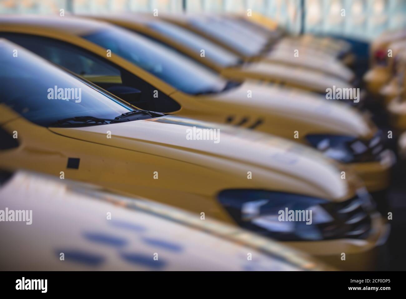 View of yellow taxi cab parking lot with yellow cars standing, set of ...