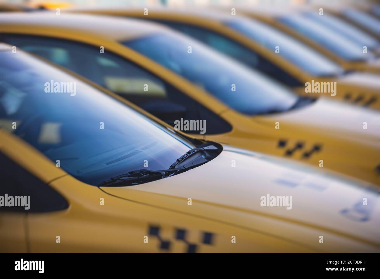View of yellow taxi cab parking lot with yellow cars standing, set of ...