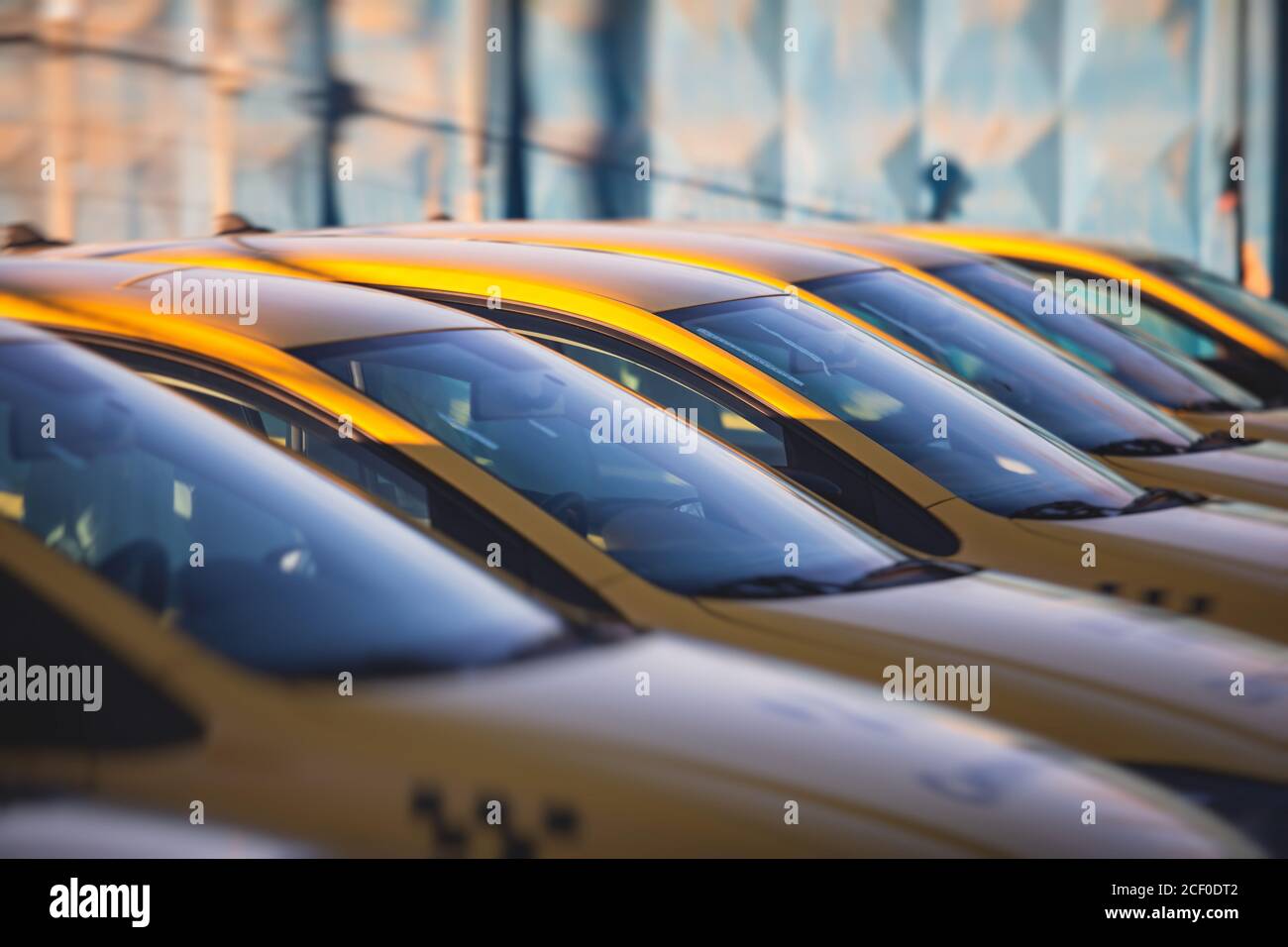 View of yellow taxi cab parking lot with yellow cars standing, set of ...
