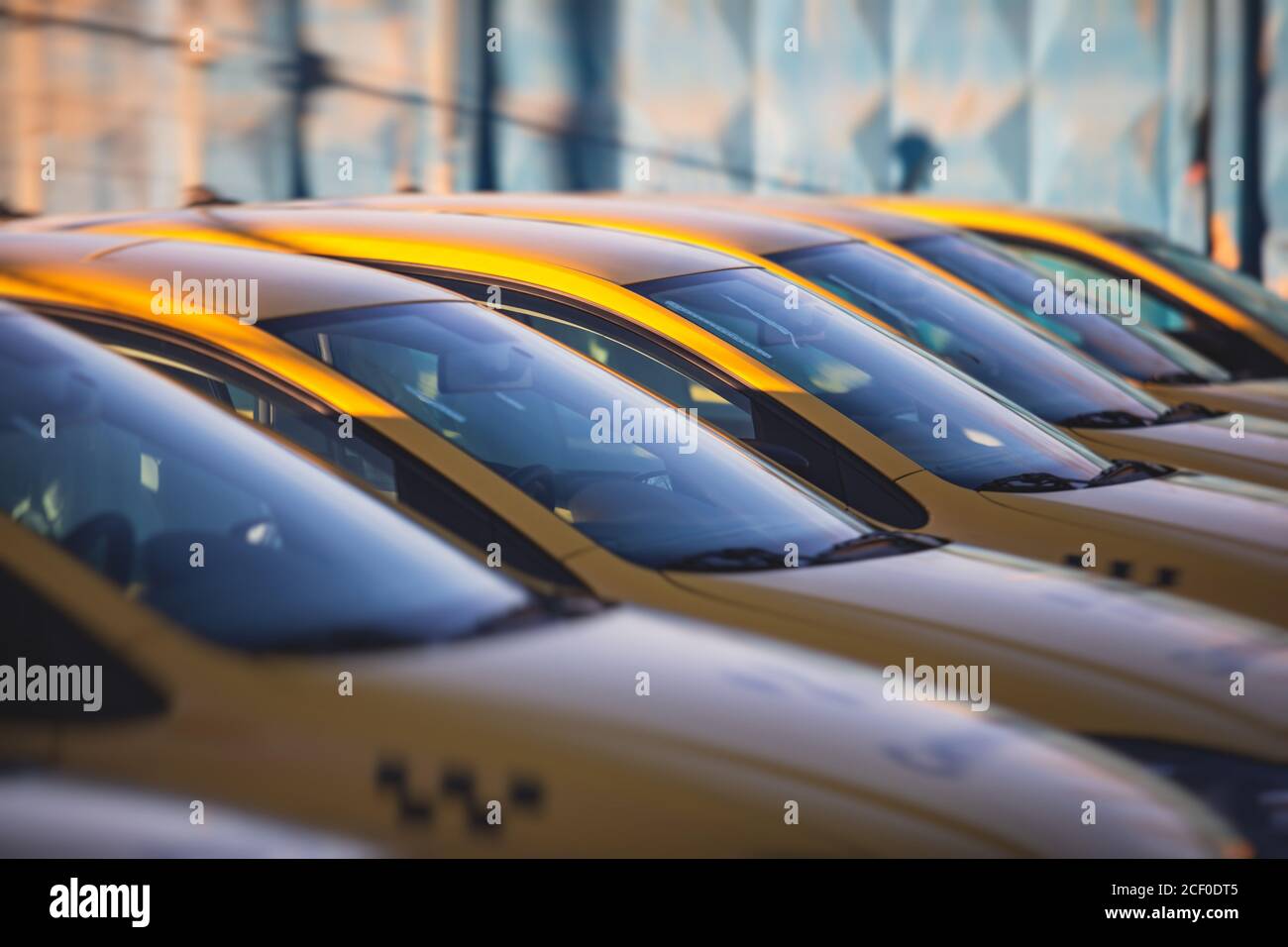View of yellow taxi cab parking lot with yellow cars standing, set of ...