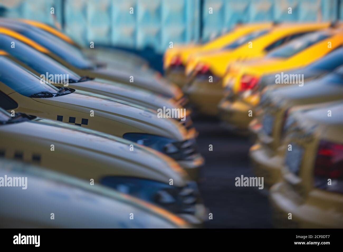 View of yellow taxi cab parking lot with yellow cars standing, set of ...