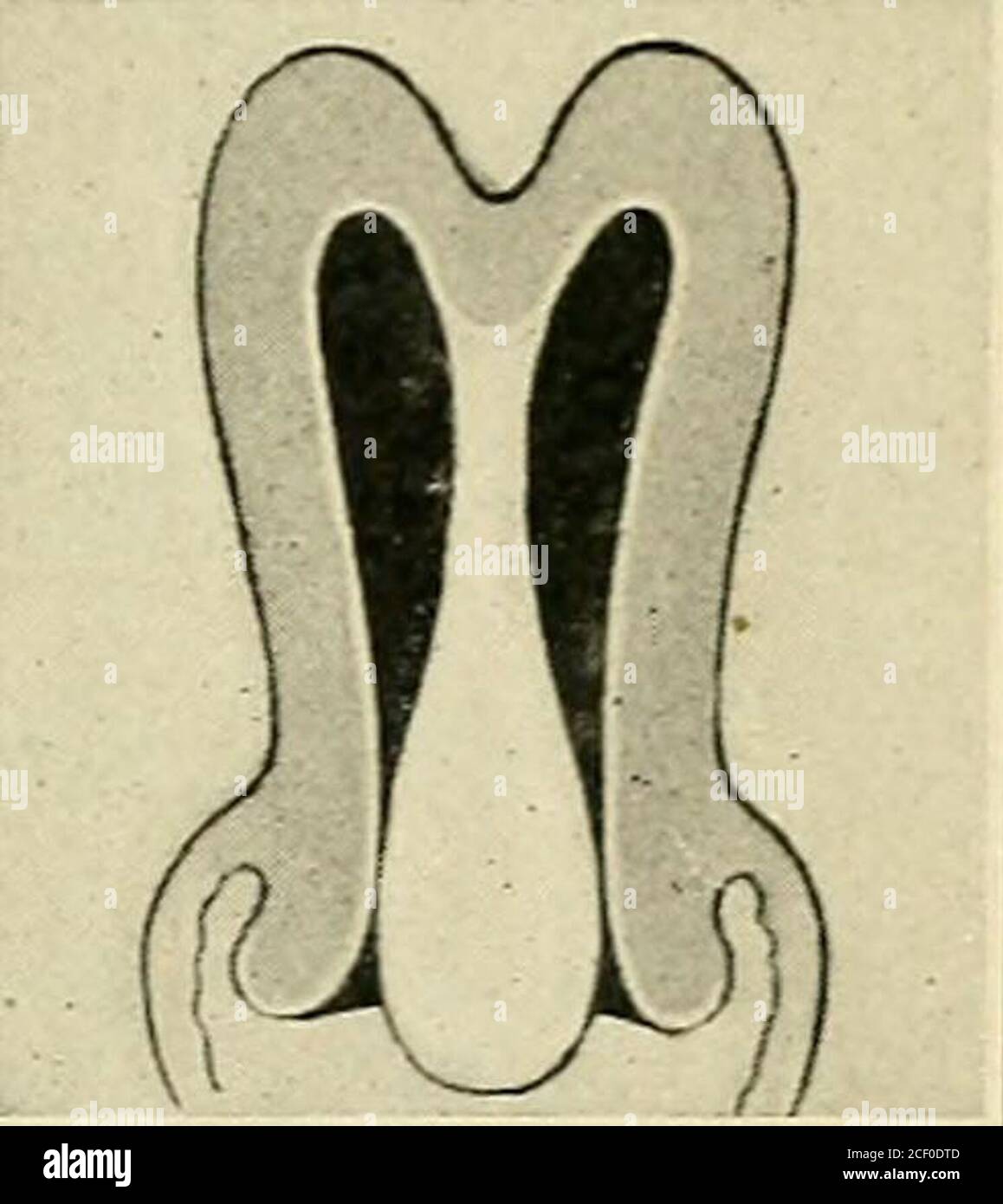 . The Principles and practice of gynecology : for students and ...