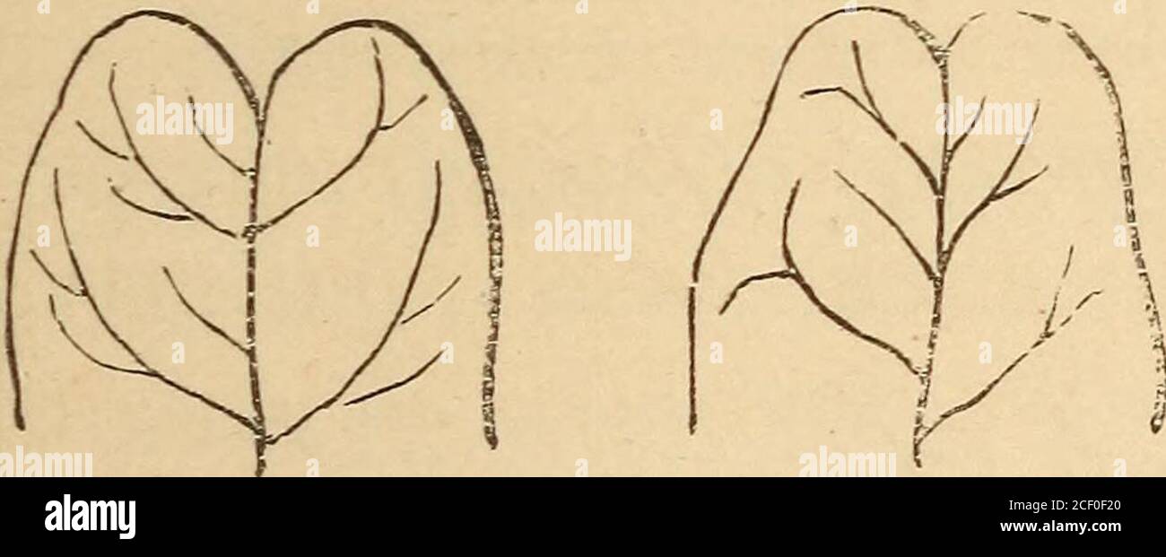 Tapering inward hi-res stock photography and images - Alamy