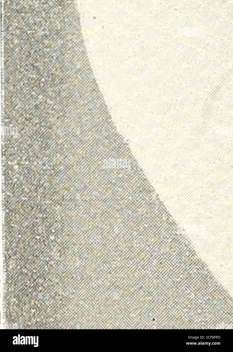 . Hog cholera Stock Photo - Alamy